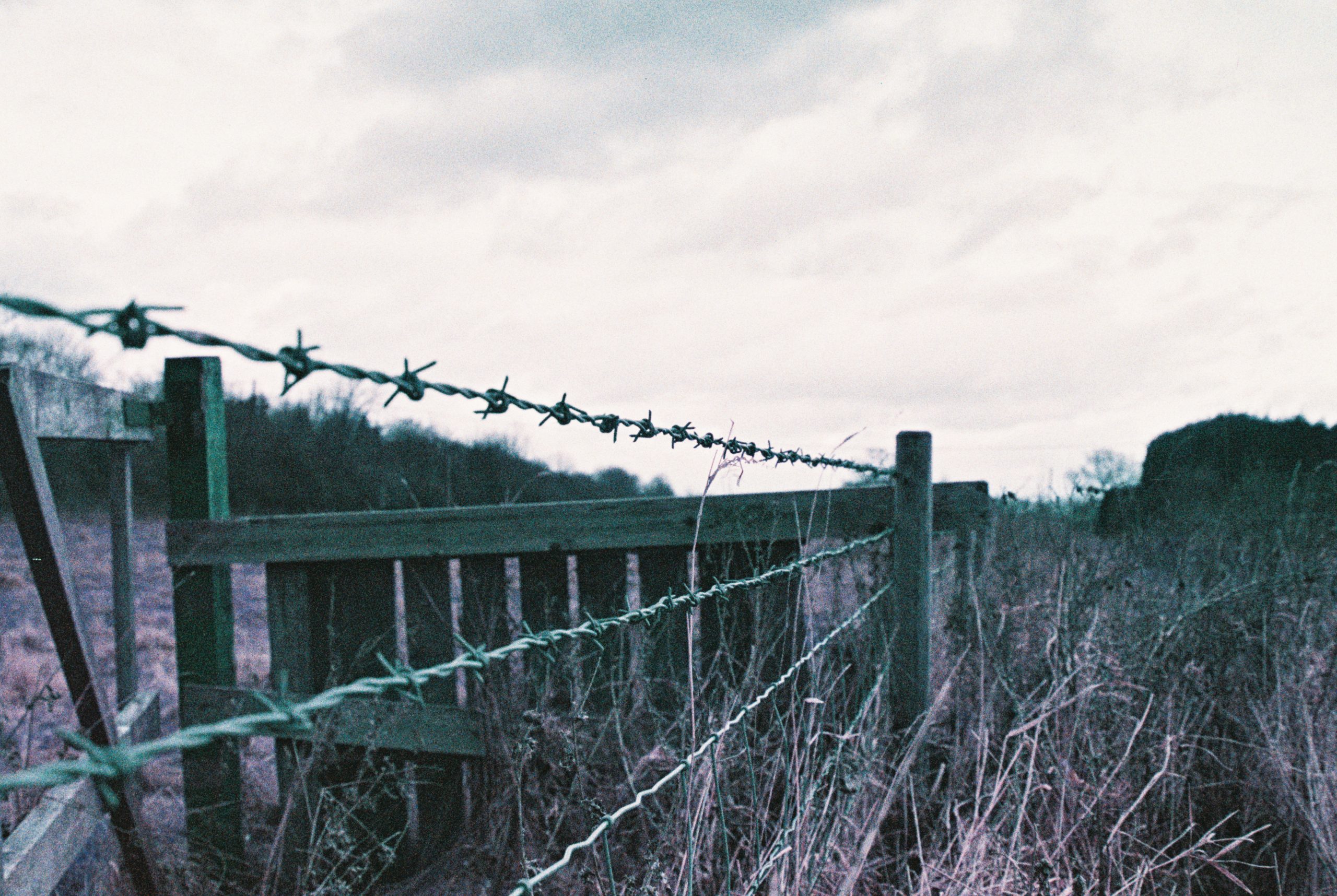 Film work - separate_shutters