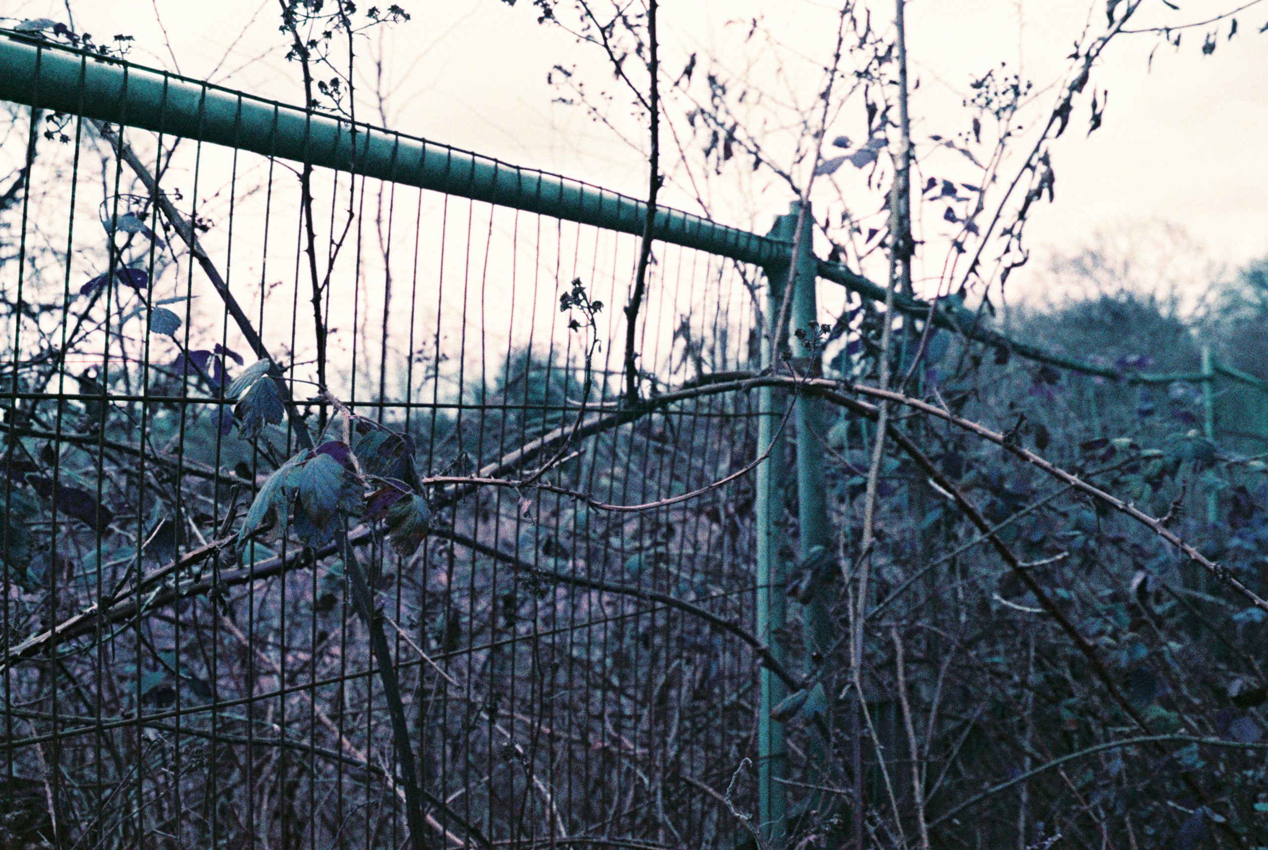 Film work - separate_shutters